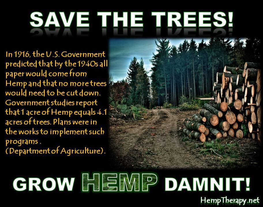 PAPER T O S H The Organization Supporting Hemp PAPER T O S H The Organization Supporting Hemp
